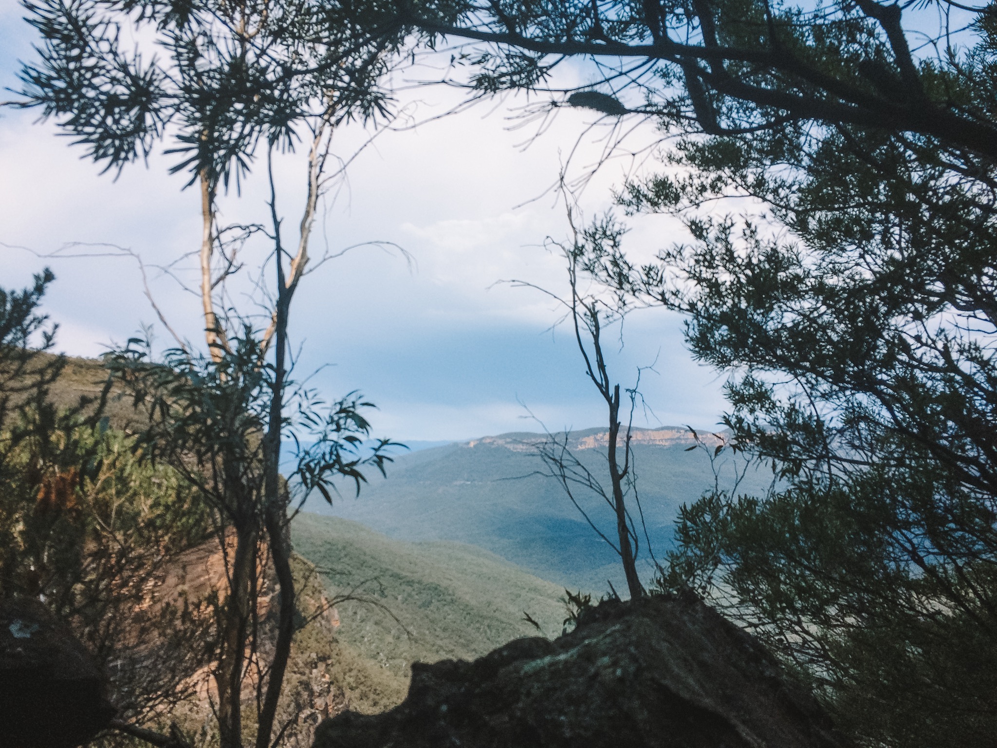 Cruising through Australia's East Coast - Traveling Summer