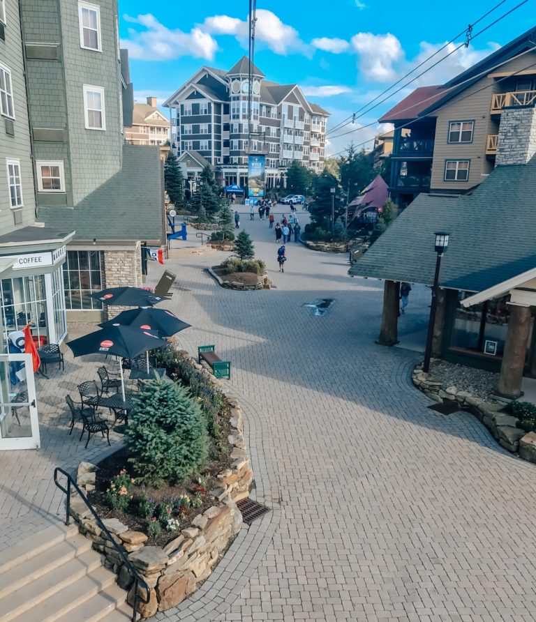 Snowshoe activities year-round - Traveling Summer